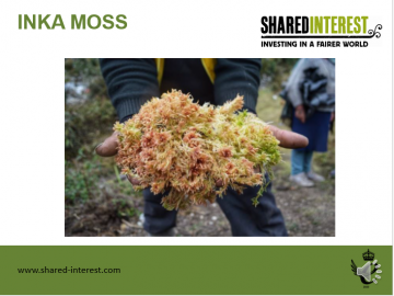 CASE STUDY - INKA MOSS - NARRATED | Shared Interest